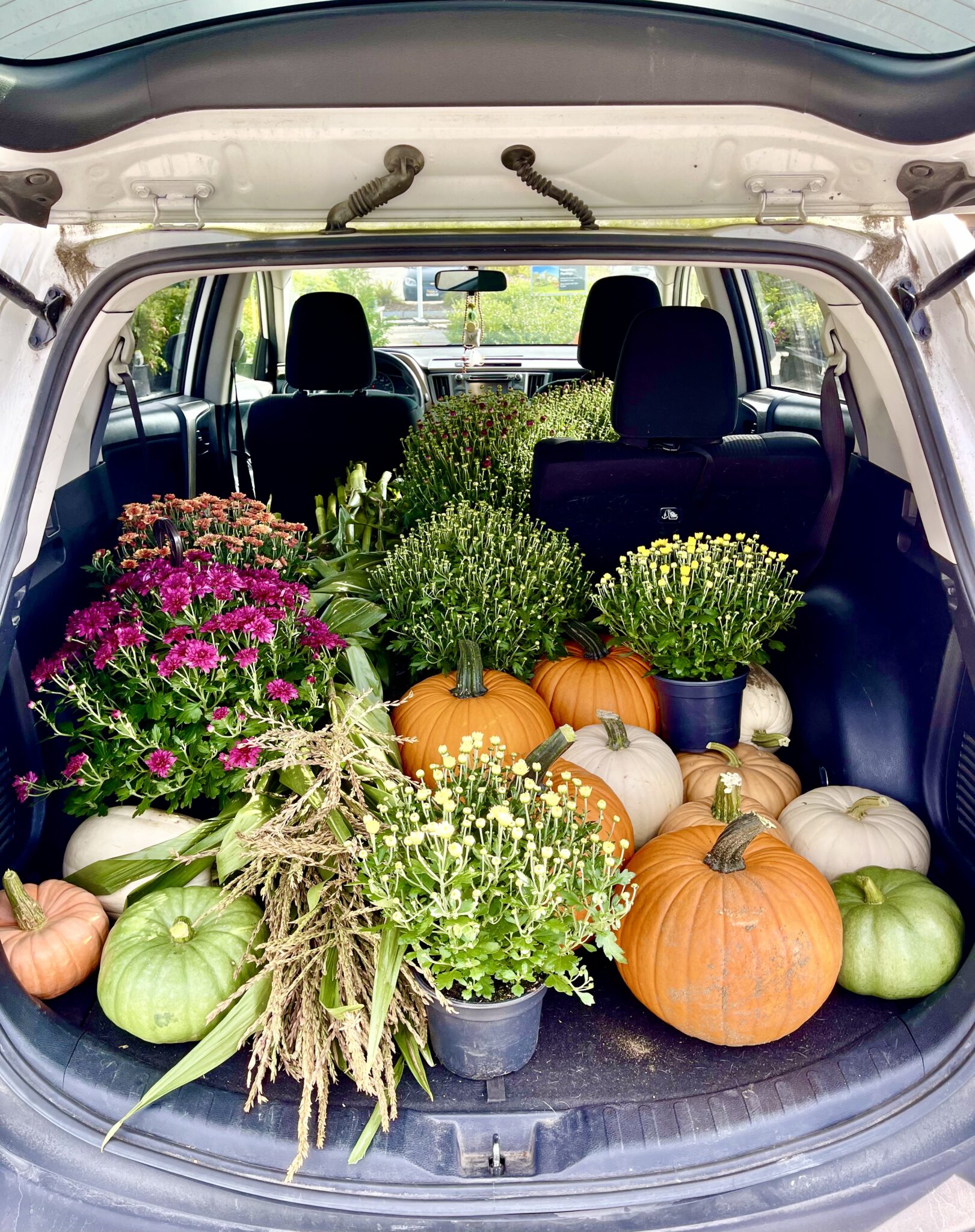 Addison County Regional Planning Commission | Vermont